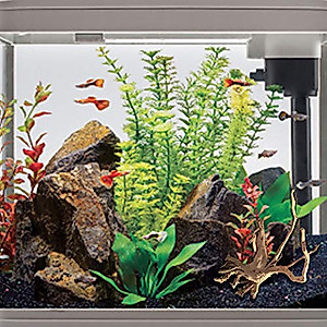 Tfwadmx Natural Driftwood for Aquarium, 4 Pcs Wood Aquarium Decorations Fish Tank Log Reptile Tree Branches