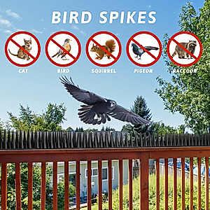 EcoGrowth Bird Spike for Bird Cat Squirrel, Fence Spike to Keep Pigeon Raccoon Away, Bird Spikes Security for Railing, Roof - 22 Pack (21.6 FT)