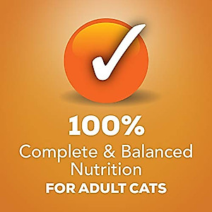 Purina Friskies Gravy Wet Cat Food, Meaty Bits Chicken Dinner - (24) 5.5 oz. Cans