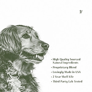 2024 Everpath Upgraded Sinus Support for Dogs - 2 Fluid Ounces/60mls | USA Made | Supports Sinus Health and Relief | Relief for Allergies, Congestion & Acute Sinusitis | Natural Solution for Pets