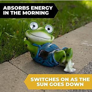 VP Home Geo Hip Hop Frog Solar Powered LED Outdoor Decor Garden Light Great Addition for Your Garden, Solar Powered Light Garden, Christmas Decorations Gifts for Outside Patio Lawn