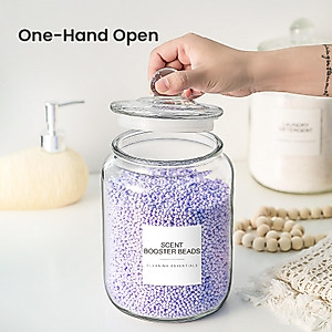 Mustry Glass Jars for Laundry Room Organization, 0.5 Gallon One Hand Easy Open Laundry Jars with Lids (Set of 2)