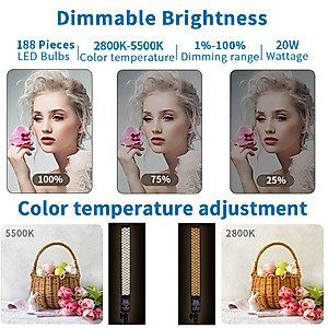 GSKAIWEN LED Video Light Battery Powered Photography Light Portable Handheld Wand,Dimmable 2800-5500K Photo Studio Light Kit with NP-550 Li-ion Battery and Stand for Portrait, YouTube,Outdoor Video