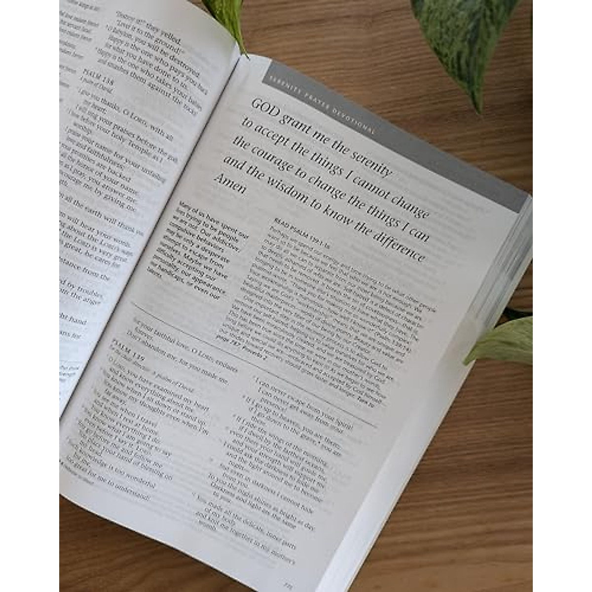 Tyndale NLT Life Recovery Bible (Large Print, Softcover) 2nd Edition - Addiction Bible Tied to 12 Steps of Recovery for Help with Drugs, Alcohol, Personal Struggles - With Meeting Guide