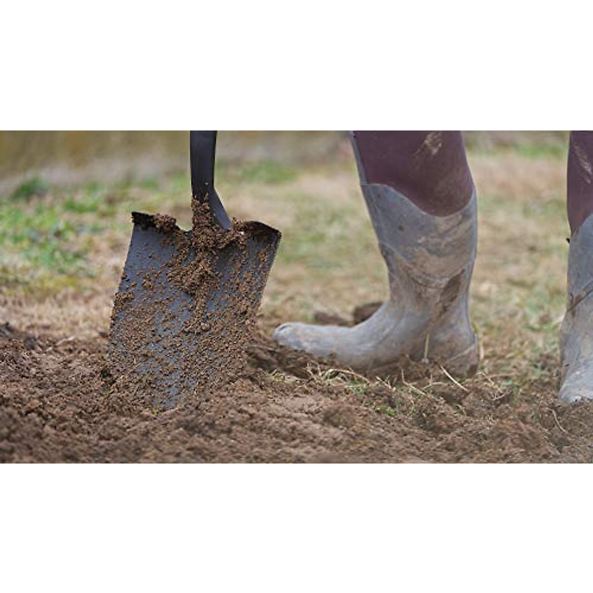 Hooyman Digging Shovel with Heavy Duty Carbon Steel Head Construction, Ergonomic No-Slip H-Grip, Oversized Steps, and Serrated Blades for Gardening, Land Management, Yard Work, Farming and Outdoors