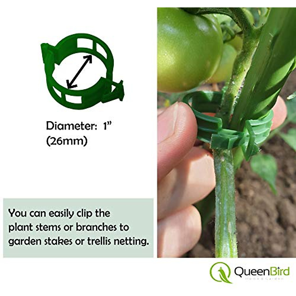 QueenBird Plant Clips - 200 PCS - Green - Garden Clips for Tomato and Other Vine Plants - Trellis Clips - Tomato Plant Support - Upright and Healthier Grow