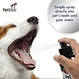 PetSilver Teeth & Gum Spray for Dogs & Cats, Eliminate Bad Breath, Natural Pet Dental Care Solution, Targets Tartar & Plaque, Clean Teeth Without Brushing, Easy to Apply, Chelated Silver, 4 fl oz