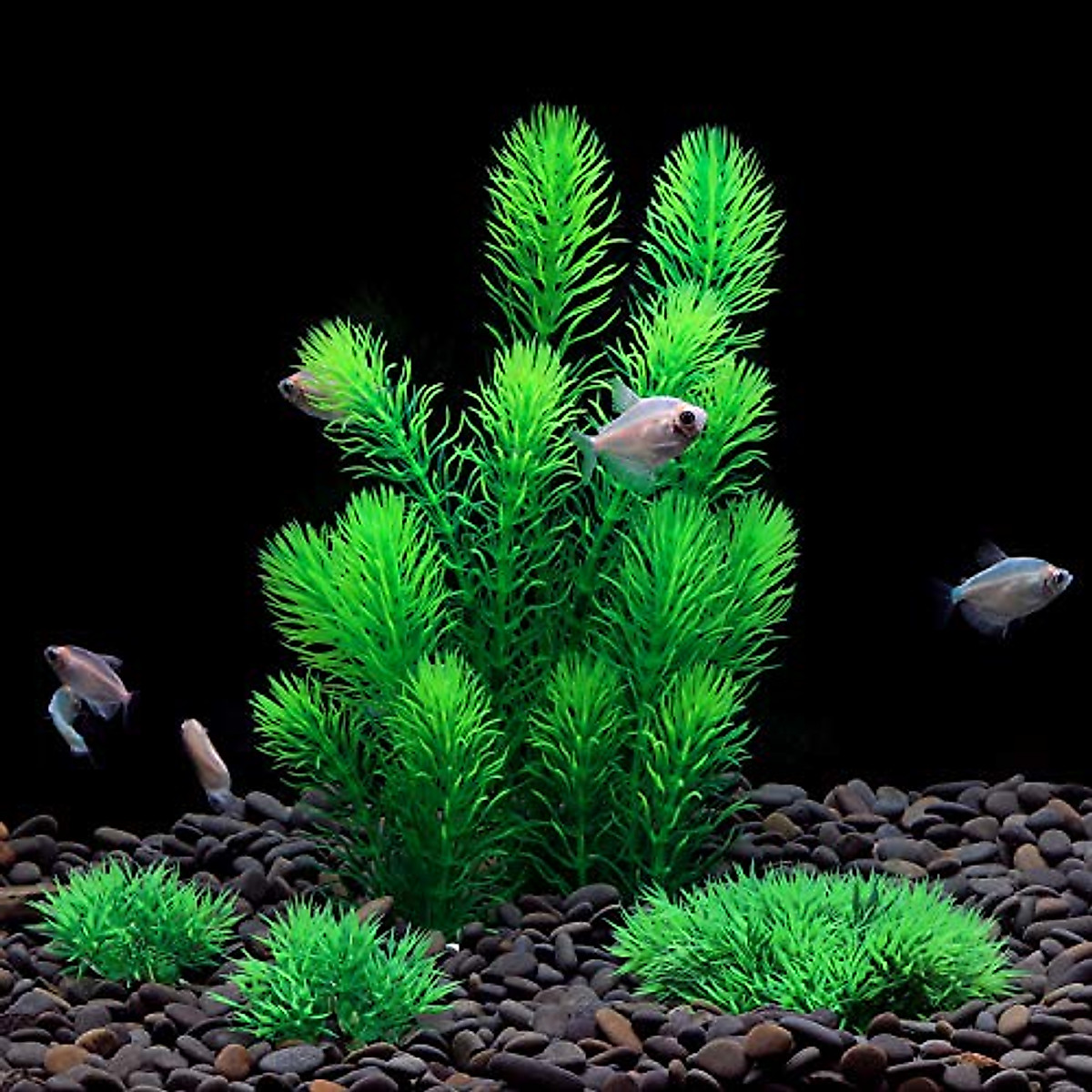 MyLifeUNIT Aquarium Plants, Artificial Aquarium Decorations for Fish Tank Decor, Pack of 4