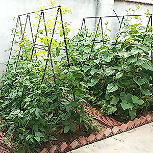 DoCred Cucumber Trellis, A Frame Trellis Metal Garden Trellis for Climbing Plant Cucumber, Flowers, Melon, Vegetables