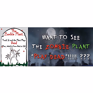 Zombie Plant Seed Packets (2) Grow Your Real Live Zombie Plant. Watch it"Play Dead" When Touched! Supplies for Zombie Themed Birthday. Plant Zombie Seeds as an Activity. Great Stocking Stuffer!