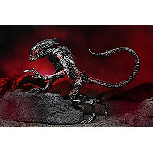 NECA - Aliens - Kenner Night Cougar - 7" Action Figure
