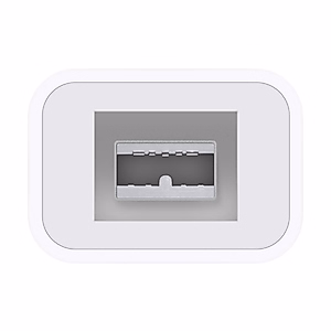 Apple Thunderbolt to FireWire Adapter