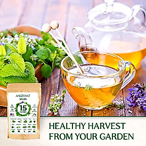 Herb Seeds 15 Variety Pack - Non GMO, Heirloom Seeds for Planting Indoor, Outdoor, and Hydroponic Medicinal Garden - Basil, Cilantro, Mint, Lavender, Rosemary, Dill, Parsley, Thyme, Sage, and More