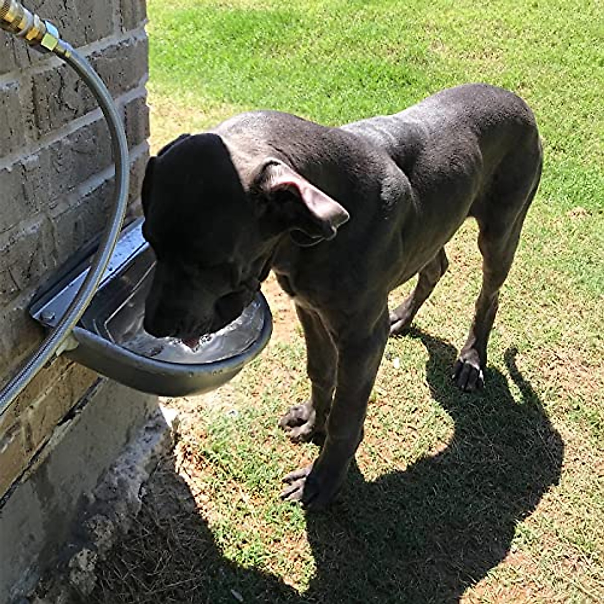 Automatic Cow Drinking Water Bowl, Stainless Steel Feeder Trough Dispenser Waterer for Pet Dog Horse Cattle Goat Sheep, with Float Ball Valves