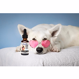 The Healing Dog: Hemp Drops for Dogs - 600mg