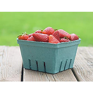 JA Kitchens QUART Green Molded Pulp Fiber Berry/Produce Vented Basket (20 Pieces)