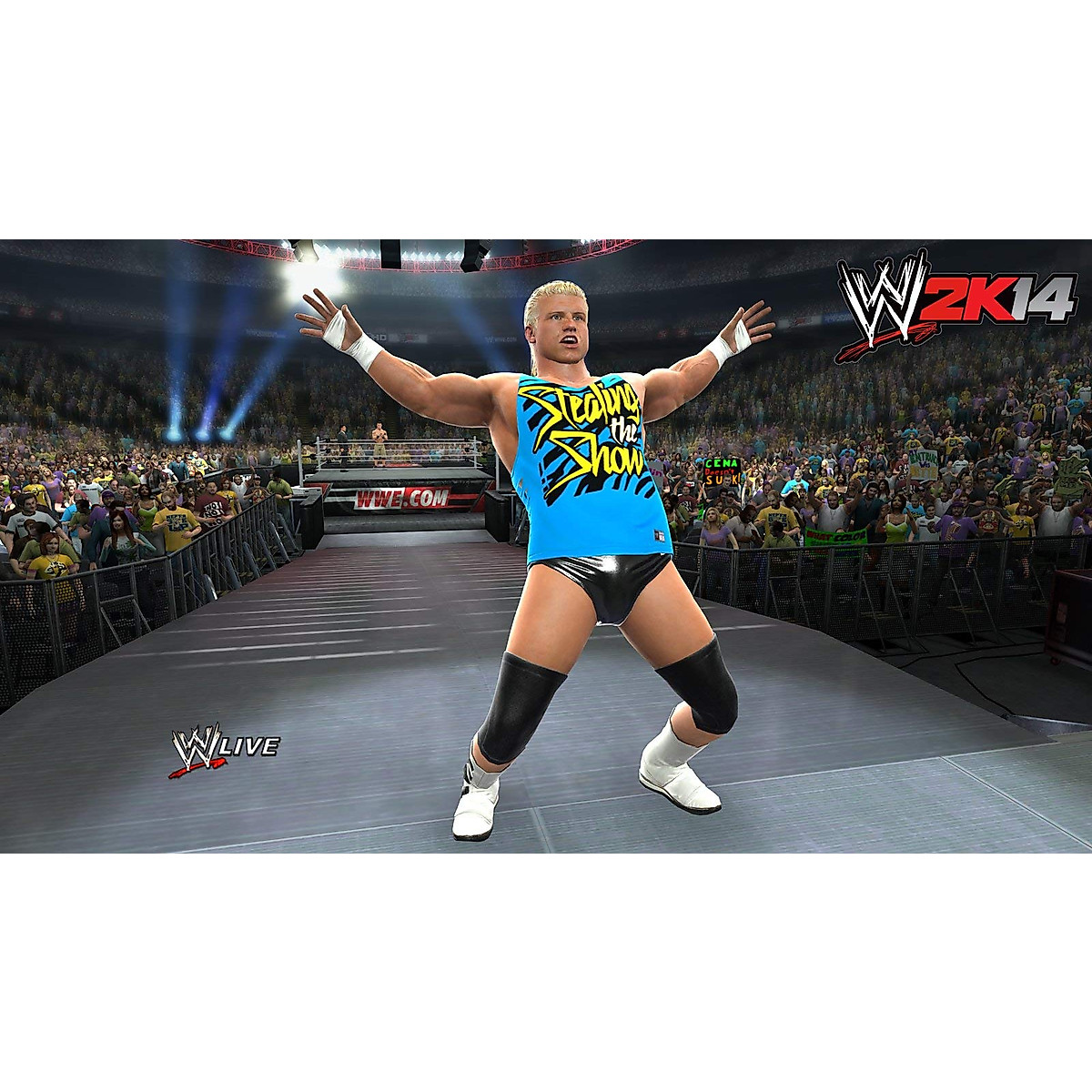 WWE 2K14 - Playstation 3 (Renewed)