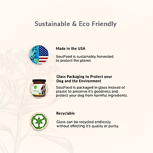 SoulFood Multivitamin — Certified organic multi-vitamin for dogs. Naturally cultured and whole-food based, up to 3 months supply.