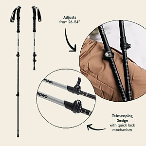Retrospec Solstice Hiking Poles for Men & Women - Adjustable and Collapsible Lightweight Walking & Trekking Sticks - Aluminum w/Cork or Foam Grip