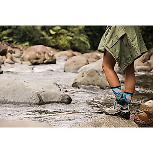 Swiftwick VISION SIX Impression, Parks Edition, Running and Cycling Socks (Yellowstone Bison, Medium)