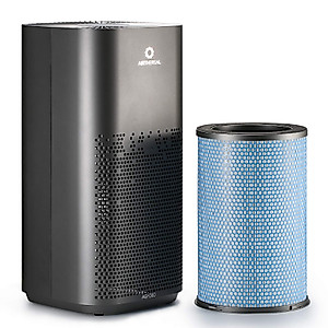 Airthereal H13 Medical Grade True HEPA Filter Replacement for Glory Day AGH380 Air Purifier