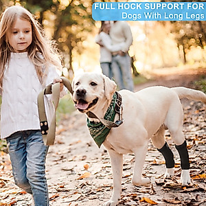 OPSELU Dog Leg Braces for Back Leg,Dog Back Leg Support Brace with Dual Metal Strips,Dog Leg Brace with Reflective Straps,Dog Knee Brace for luxating Patella,Dog ACL Brace Hind Leg,1 Pair(M)