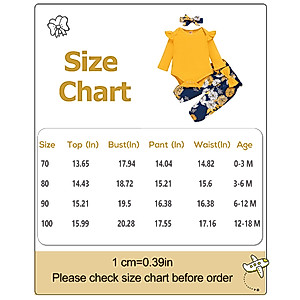 12 Months Baby Girl Clothes Gifts Baby Girl Outfits Winter Infant Clothing Ruffle Romper Floral Pants Set 12-18 Months Girl Clothes