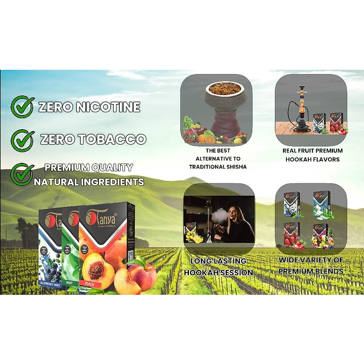 Tanay Herbal Hookah Molasses Fruit Mix Hookah Shisha Flavors, Premium Tobacco & Nicotine Free, Fruit Variety Pack, 50-Gram Packs (Pack of 6)