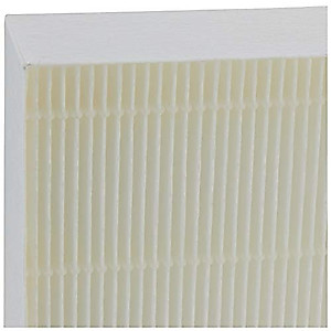 Sharp True HEPA Replacement Filter For FZ-A60HFU,Black