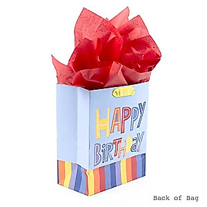Hallmark 9" Medium Gift Bag with Tissue Paper (Happy Birthday, Rainbow Stripes on Light Blue)