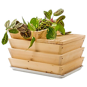 WWJD Worms The Box of Life Worm Wood Composter - Odorless Indoor Vermicomposting Bin - Worm Bins for Composting - Ideal Addition to Worm Composting Kit - Cedar Worm House (Planter Top)