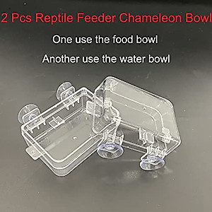 Tfwadmx 2 Pcs Chameleon Bowl, Reptile Feeding Food, Water Dish Gecko Worm Feeder Anti-Escape Chameleon Supplies Accessories for Lizard Bearded Dragon Snakes
