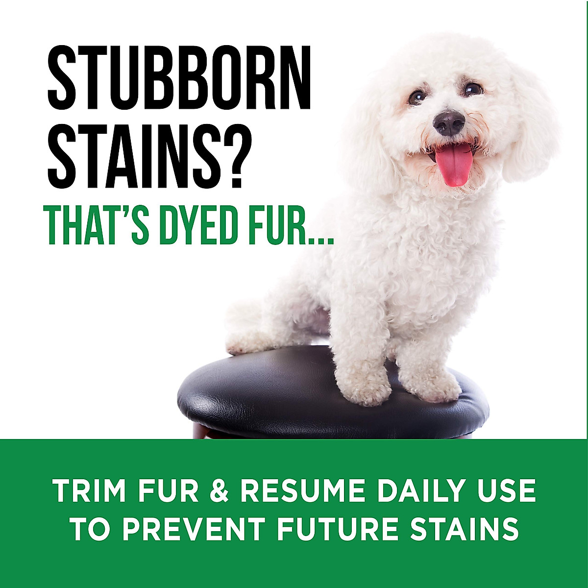 Natural Rapport Dog & Pet Tear Stain Remover - The Only Eye Tear Stain Remover Dogs Need - Dog and Cat Tears Stain Removing Treatment (8 fl oz.)