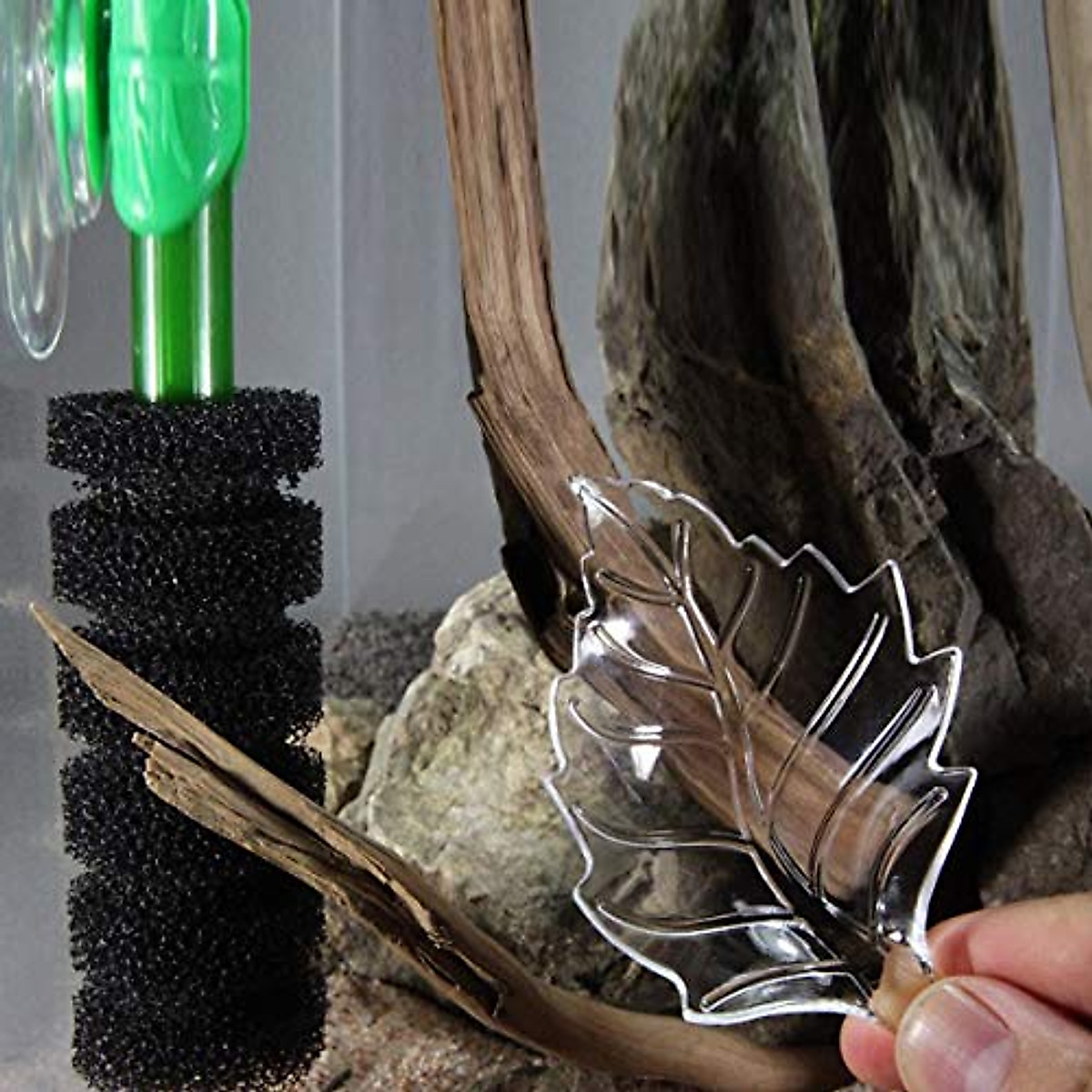 JZMYXA Shrimp Feeding Dish Shrimp Feed Dish Leaf Shaped Bowl