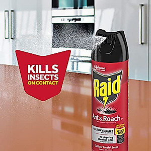 Raid Ant & Roach Killer Defense System, Outdoor Fresh Scent 17.5 Ounce (Pack of 12)