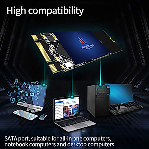 GAMERKING 256GB M.2 2260 SATA III 6Gb/s SSD Internal High Performance Solid State Drive for Desktop Laptop