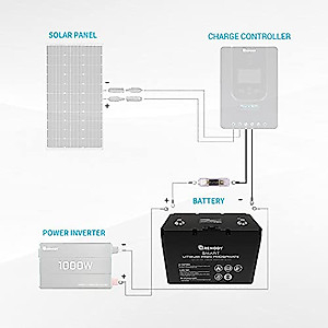 RENOGY 8ft. 10 AWG Wire Copper Tray Cable - Connect Charge Controller and Battery, Black