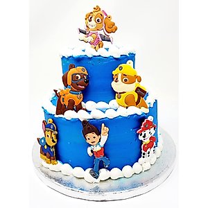 Paw Patrol Cake Topper Set Featuring Ryder, Zuma, Chase, Rubble, Marshall and Skye (Unique Design)