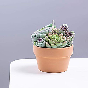 Assorted Succulent Pot Scented Candle for Spa Home Decoration Wedding Gift