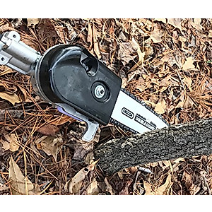 Sunseeker 10-Inch Pole Saw with 30-Inch Shaft Universal Attachment, Articulating Pole