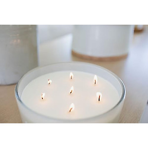 Sand + Fog Scented Candle - Tropical Citrus Additional Scents and Sizes 100% Cotton Lead-Free Wick Luxury Air Freshening Jar Candles Perfect Home Decor for Your Cocktail Table 34 oz, Orange,Violet