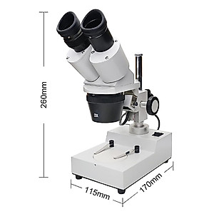 SDGH Binocular Stereo Microscope Industrial Stereo Microscope Top LED Illumination Mobile Phone PCB Soldering Repair Tool (Color : OneColor, Size : 20X)