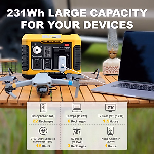 TogoPower Portable Power Station 300W, Outdoor Solar Generator (Solar Panel Not Included) 231Wh Backup Lithium Battery, 120V Pure Sine Wave AC Outlet for Camping Travel Hunting Blackout Home Emergency