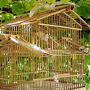 PATKAW 40Pcs Bird Cage Locks Metal Pet Cage Door Lock Birds Cage Hook Clip Anti- Escape Bird Cage Door Buckle Lock Claw Trigger Snap Hook for Birds Small Dogs Cats