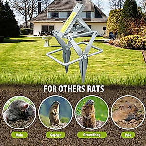 YardYield Mole Trap,Galvanized Steel Mole Scissor Trap,Reusable Mole Gopher Trap,Easy Set Quick Capture Gopher Trap for Lawns (Silver)