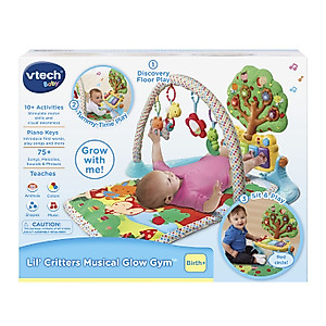VTech Baby Lil' Critters Musical Glow Gym