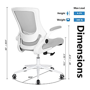 Misolant Desk Chair, Mesh Office Chair, Ergo Chair, Ergonomic Office Chair with Adjustable Lumbar Support and Height, Office Desk Chair 360°Swivel Office Chair (Light Gray)
