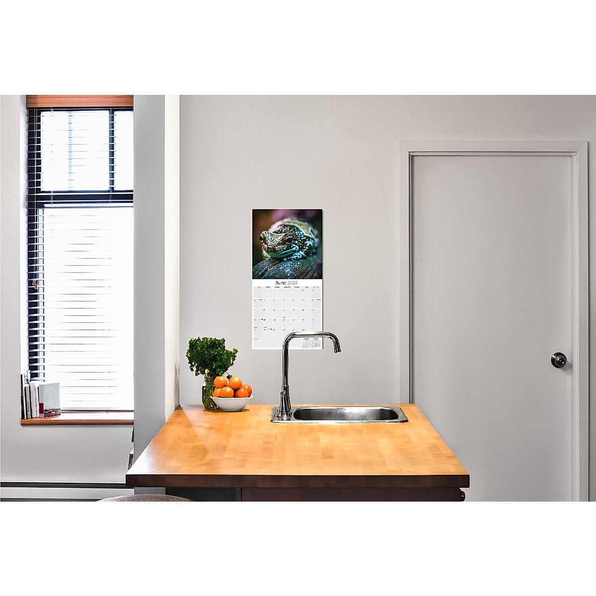 2023 2024 Frogs - Reptile Monthly Wall Calendar - 12 x 24 Open - Thick No-Bleed Paper - Giftable - Academic Teacher's Planner Calendar Organizing & Planning