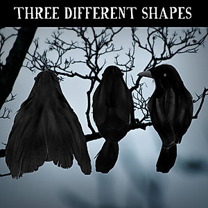 Pseutio 6 Pack Halloween Crows and Ravens Decorations Halloween Feathered Crows Realistic Looking Raven for Halloween Prop Decor