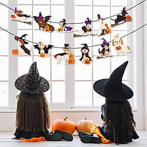 Halloween Party Decorations Halloween Banner Halloween Dog Garland Bunting Banner Cute Witch Hat Pumpkin Puppy Dog Hanging Banner for Halloween Birthday Holiday Party Wall Home Office Decor